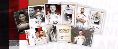 2024 PANINI DFB Team-Set Soccer Cards | collectosk